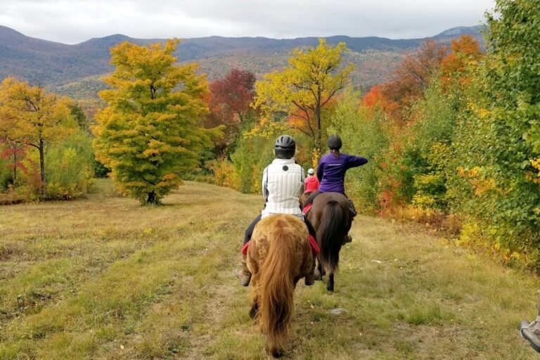 Ultimate Family Guide to Horseback Riding near Stowe, VT
