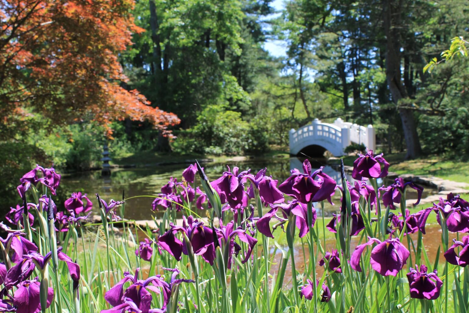 The Best Connecticut Botanical Gardens For Families