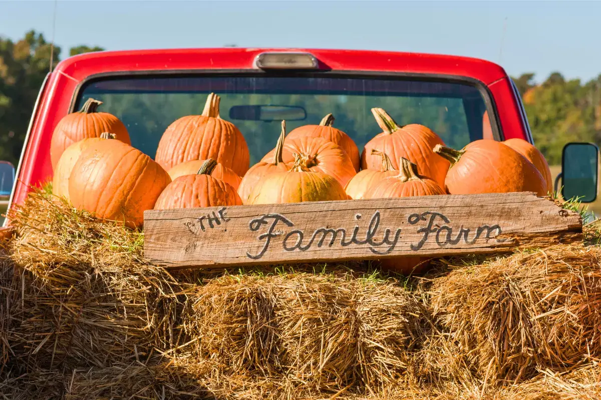 Lasorda Legacy Park: Weekend Family Fun Beyond the Dugout